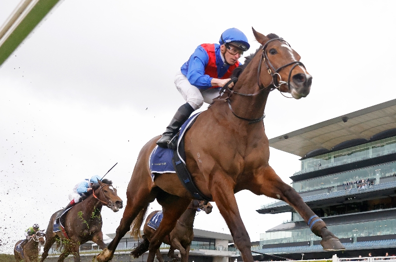 George Main Stakes 2022 Barriers & Final Field