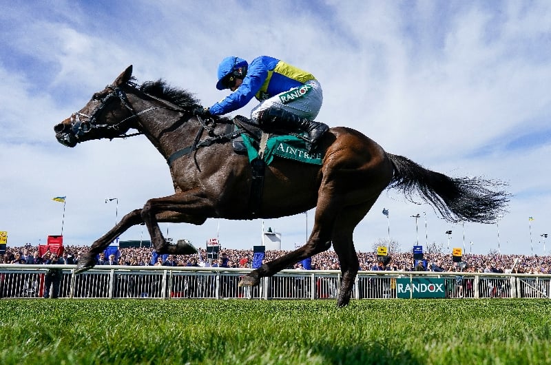 Dan Skelton Stable Tour 2022/23 | Key quotes and news