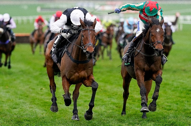 Dan Skelton Stable Tour 2022/23 | Key quotes and news