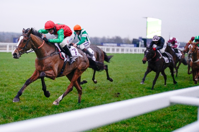Paul Nicholls Stable Tour 2022/23 | Key quotes and news