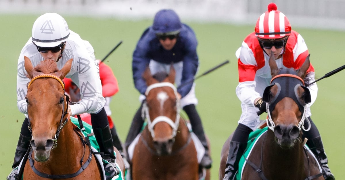 Melbourne Cup Tips & Betting Advice 2025 - Expert Selections