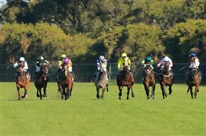 Australian Horse Racing Tips, Best Bets & Daily Previews