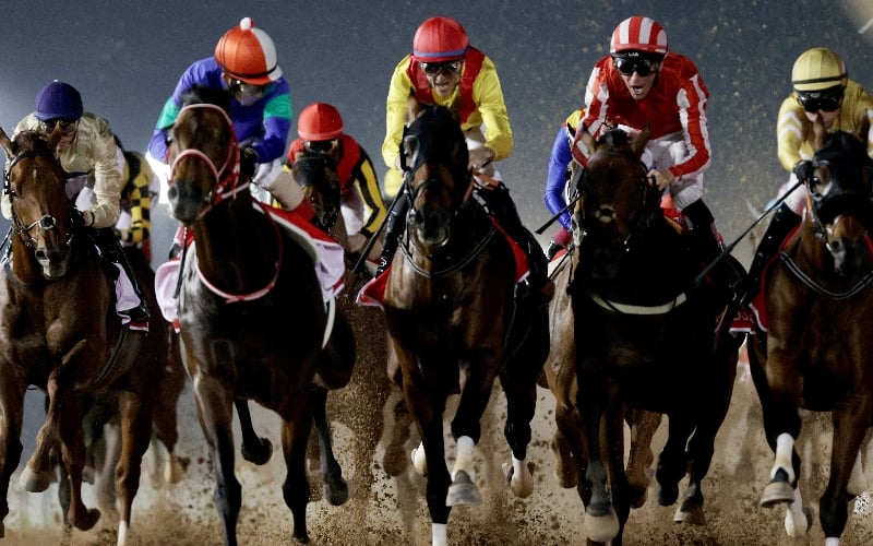 UAE Racing Tips & Dubai Racing Tips | RacingInsider.com
