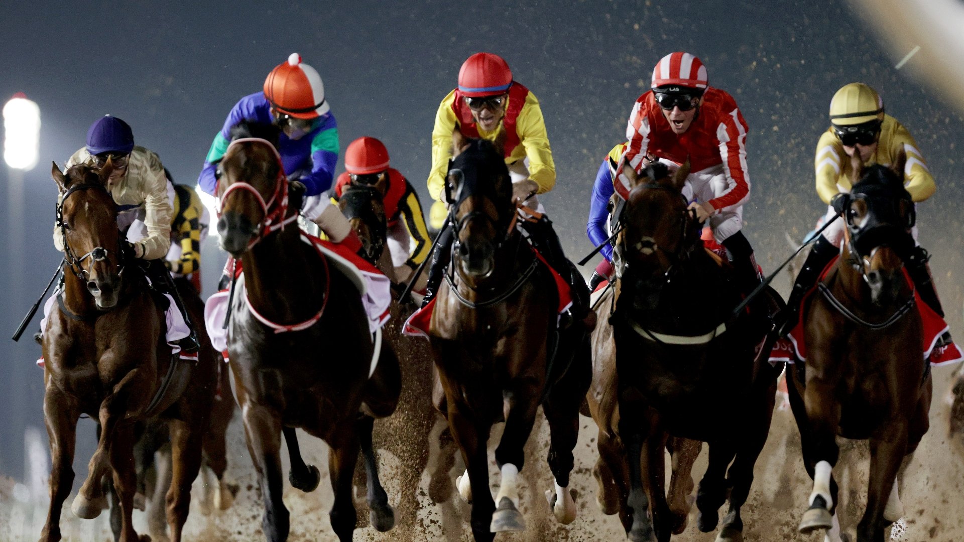 UAE Racing Tips & Dubai Racing Tips | RacingInsider.com